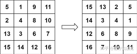 Leetcode《算法通关手册》 11 数组基础 知乎