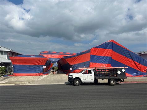 Is Tent Fumigation Necessary For Post Powder Beetles In Your Home