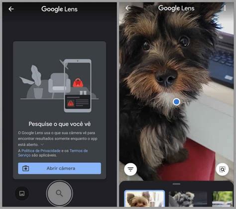 Pesquisa Por Imagem No Google Como Fazer No Celular E PC