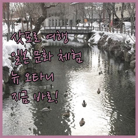 뉴 오타니 인 삿포로에서 만끽하는 일본 문화 체험 지금 바로 떠나보세요