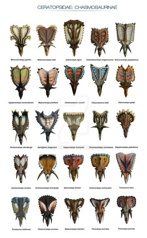 Ceratopsidae Prehistoric Wildlife Prehistoric Dinosaurs Jurassic