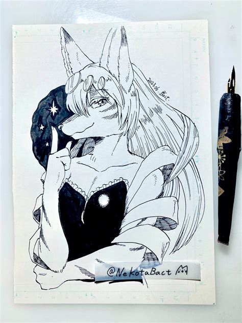 🌟お知らせ🐢】 「治癒魔法は使えないと追放されたのに、なぜか頼られてます～俺だけ使える治癒魔法で、聖獣と共に気づけ」猫田博人🦭コミティア151