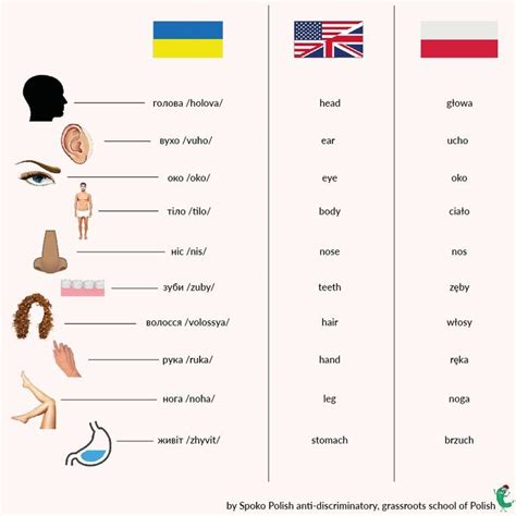 Polish Ukrainian Mini Dictionary Continued