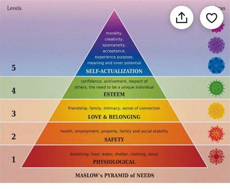 Maslow Hierarchy Of Needs Sex Is Not A Basic Human Need Rasexual