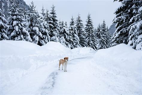 Siberia a devenit cel mai friguros oraş din lume