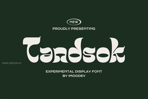 实验性大胆设计的英文创意排版衬线字体 Tandsok 艺字网