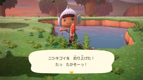 【あつ森生活】36 ニシキゴイを釣るとなんか よい気分♪ 【るぴログ】
