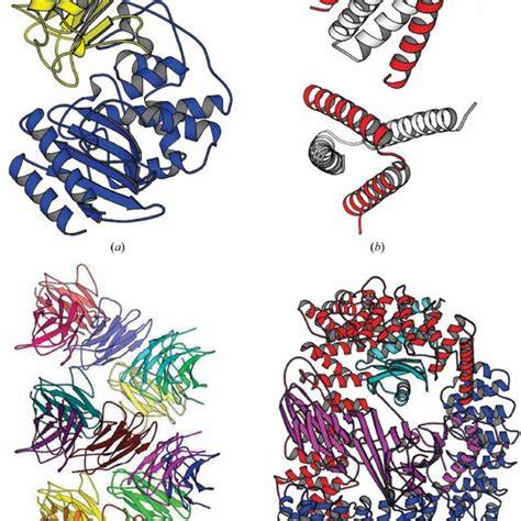 Pdf Solving Structures Of Protein Complexes By Molecular Replacement