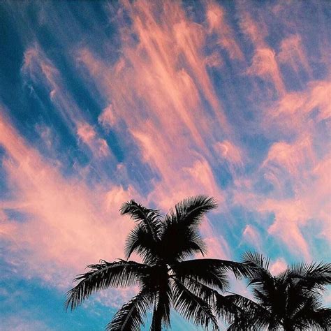 Captivating Cotton Candy Skies