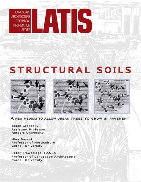 Pdf Structural Soils A New Medium To Allow Urban Trees To Grow In