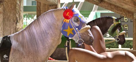 Rule 34 Barn Bridle Duo Equid Equine Fellatio Feral Genitals