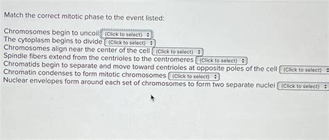 Solved Match The Correct Mitotic Phase To The Event Chegg