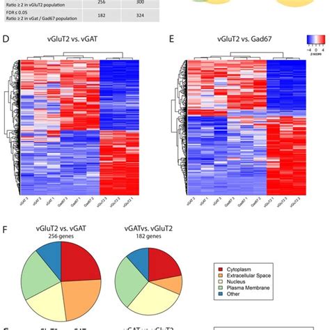 Rna Seq Metadata From Sequencing Of The Polysomal Mrna From Download Scientific Diagram