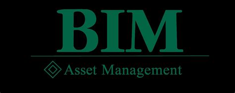 The Team Bim Bim