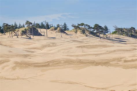 Oregon Coast Sand Dunes Eugene Cascades Oregon Coast