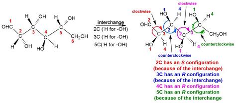 Redraw Each Of The Following Sugars In Open Chain Form As A Quizlet