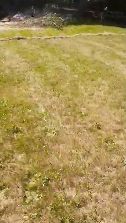 100 Greenworks Dethatcher Youtube