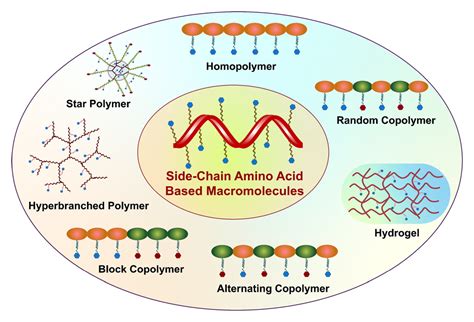 Side Chain Amino Acid Based Macromolecular Architectures Journal Of Macromolecular Science