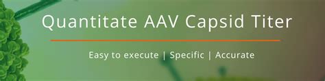Aav Titer Kit Origene Technologies Inc