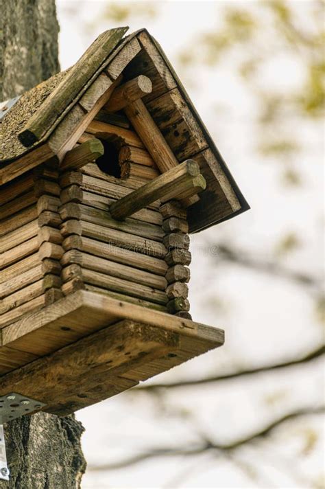 Bird Nesting Aid Made Of Wood On A Tree A Stylish Birdhouse Stock