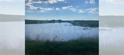 Аренда земли сельхозназначения 100 га купить в Каменке Готовый бизнес