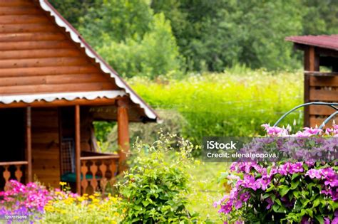 나무가있는 아름다운 정원 녹색 잔디와 시골 집이있는 잔디 0명에 대한 스톡 사진 및 기타 이미지 0명 가정 생활 경관 Istock