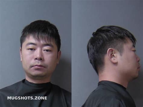 CHENG LI 11 01 2024 Madison County Mugshots Zone