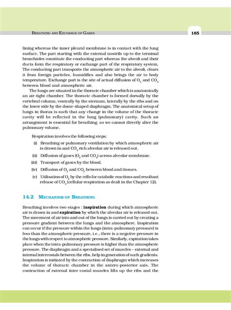 Ncert Book Class Biology Chapter Breathing And Exchange Of Gases