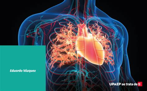 Aterosclerosis Coronaria Upress