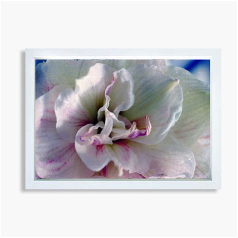 王小慧花王小慧第5页大山谷图库