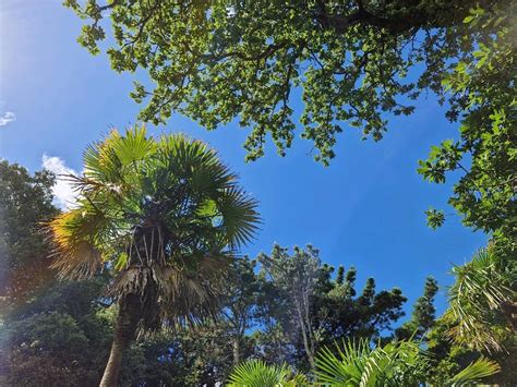 Steven Michell On Linkedin Summer Cornwall Pr Marketing