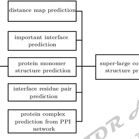 The System Of Protein Complex Prediction Download Scientific Diagram