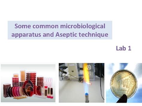 Some Common Microbiological Apparatus And Aseptic Technique Lab