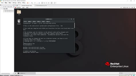 文件内容显示 Csdn博客