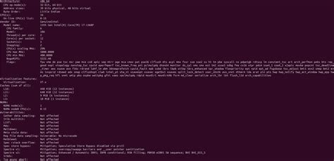 Intel Core I7 1360p Lscpu Output - ServeTheHome