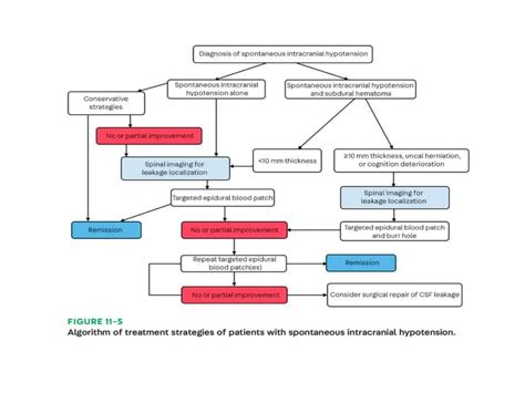 Spontaneous Intracranial Hypotensionpptx