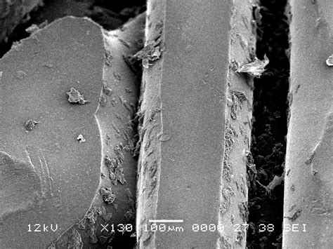 3d Printed Piece Of Pla Under A Microscope R 3dprinting