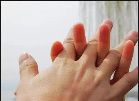 散文 温情的小手