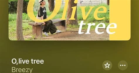 Olive Tree 원양희 숨고 숨은고수