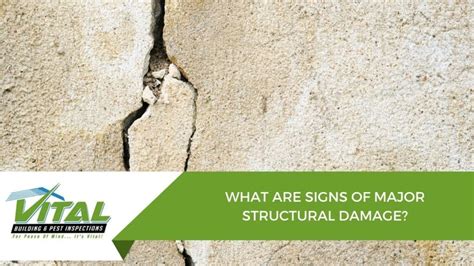 What Causes Major Structural Damage Vital Building And Pest Inspections