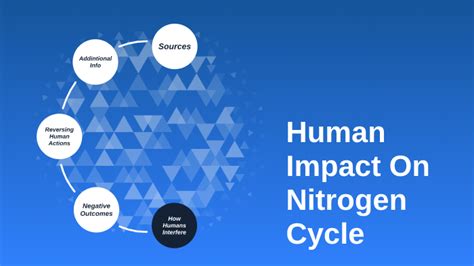 Human Impact On Nitrogen Cycle By Yitzhak Aisen On Prezi
