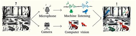 Machine Listening For Bioacoustics John Martinsson