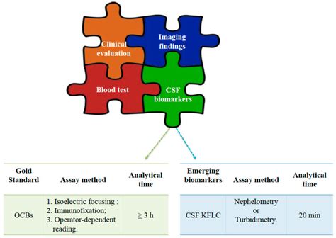 Diagnosis Of Multiple Sclerosis With Analytical Differences Between