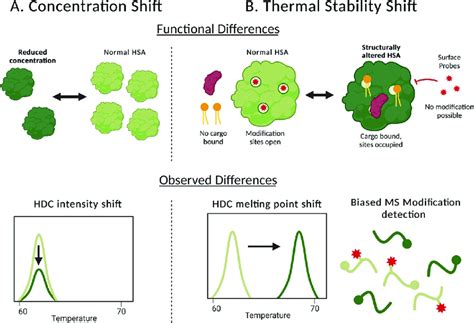 Two Possible Models Explaining Hdc Shifts In Ra Subjects The Decreased Download Scientific