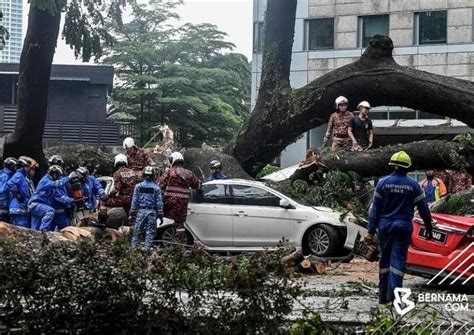 Fallen Tree Accident Crushes Car With Driver Sill Inside It