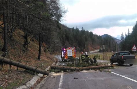 Trei Copii Au Ajuns La Spital După Ce Un Copac A Căzut Pe Mașina Lor în