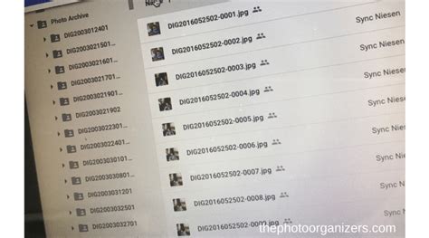 The Name Game Why File Numbers Matter When It Comes To Organizing Photos The Photo Managers
