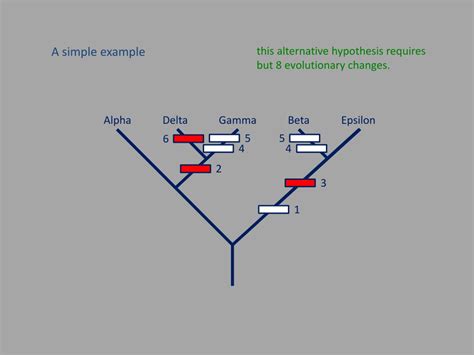 Ppt Parsimony Methods Powerpoint Presentation Free Download Id 2222234