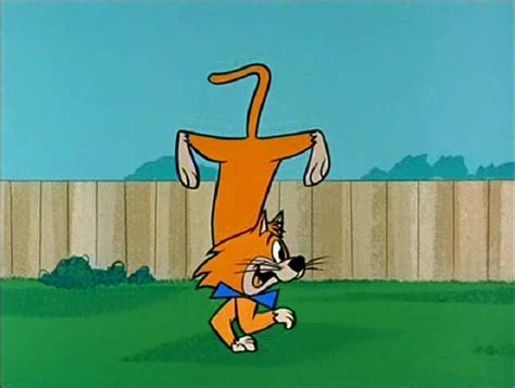 Yowp Pixie And Dixie — Woo For Two