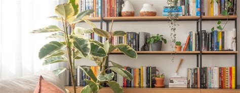 Coisas Que Você Deve Tirar De Casa Antes De Completar 40 Anos Homify
